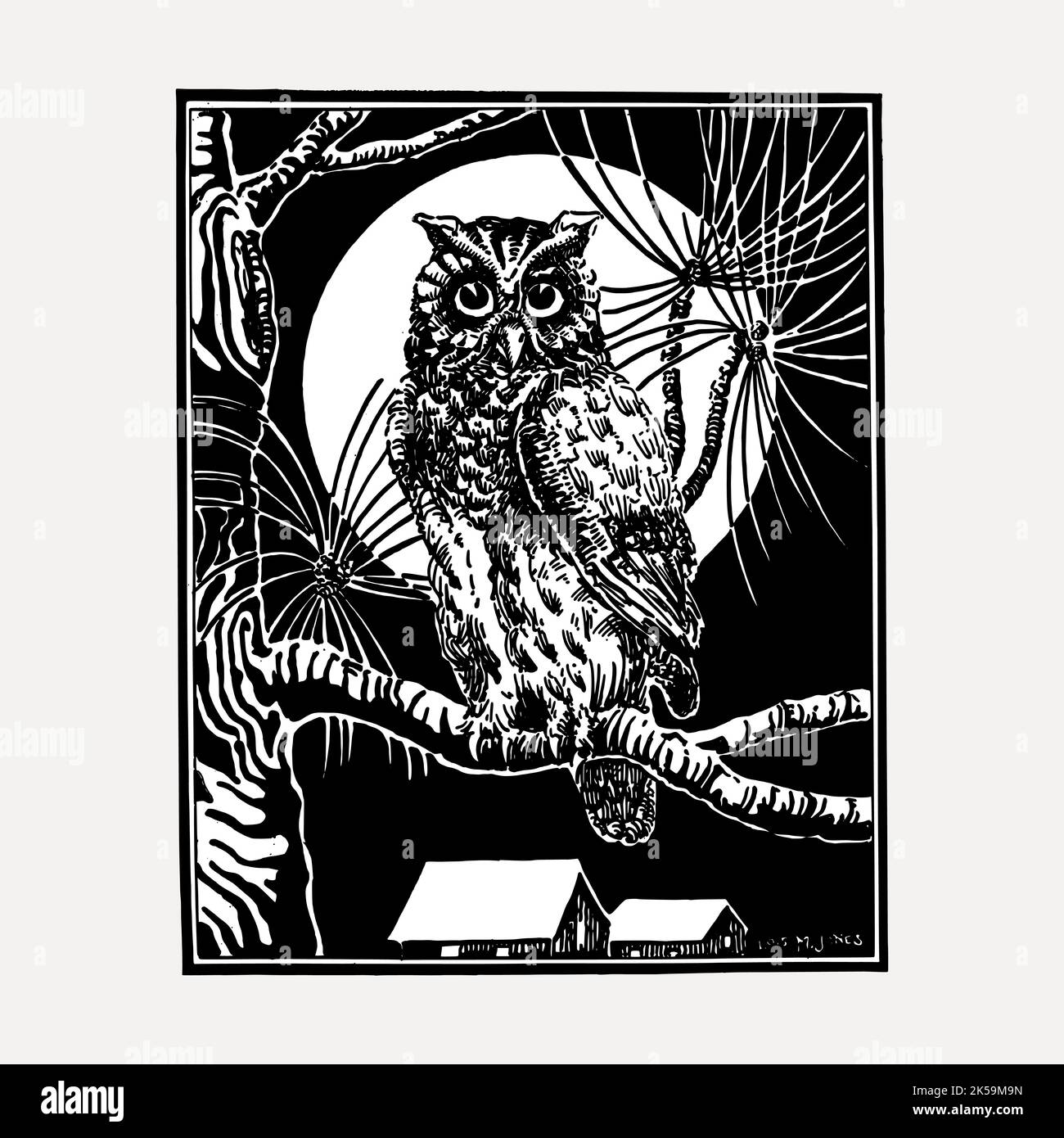Night owl clipart Stock Vector Images - Alamy