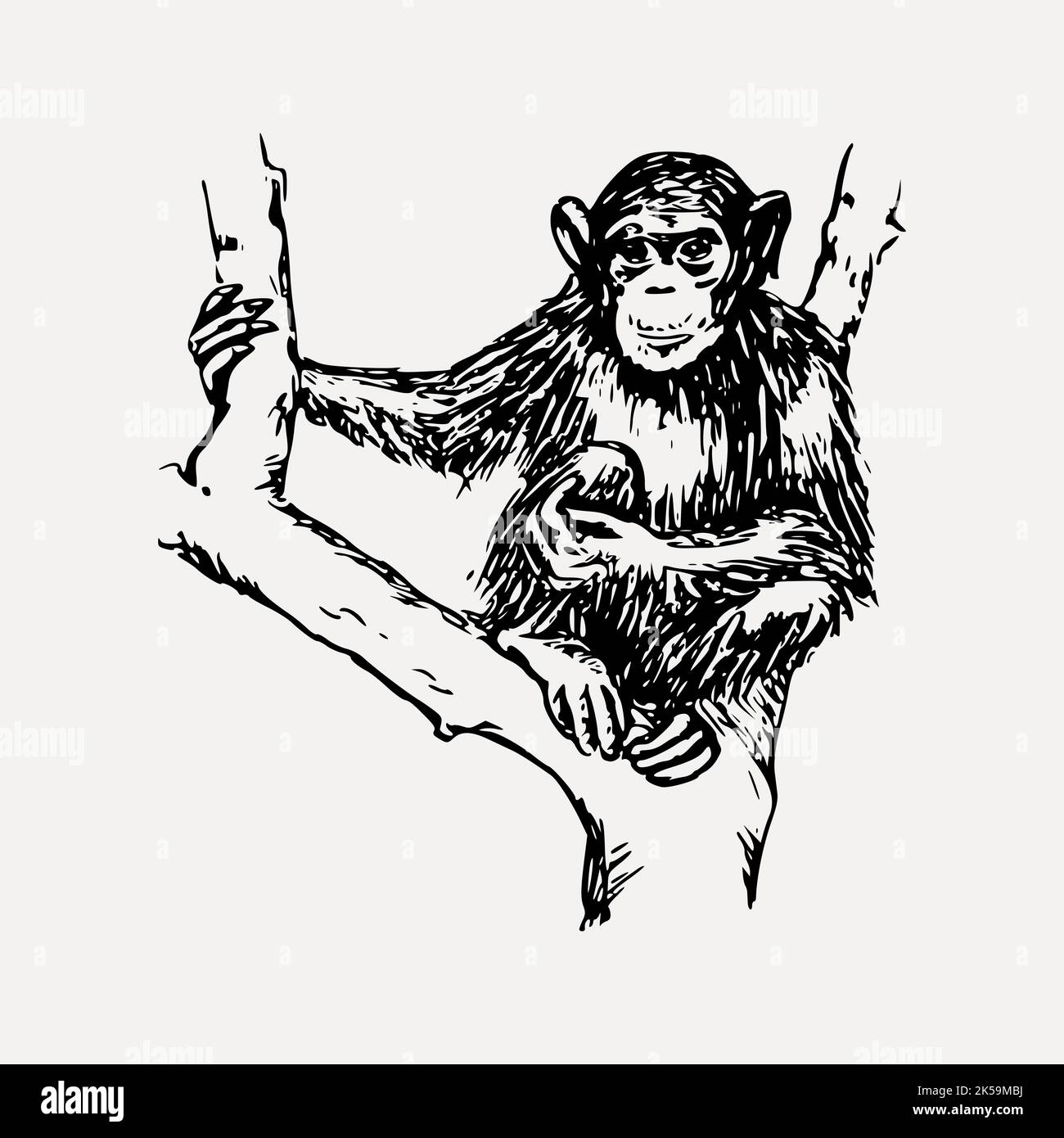 Monkey drawing hi-res stock photography and images - Alamy