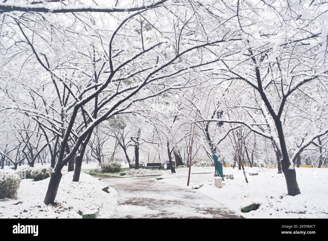 Winter snow scene in Moshan Scenic Area, East Lake, Wuhan, Hubei Stock ...