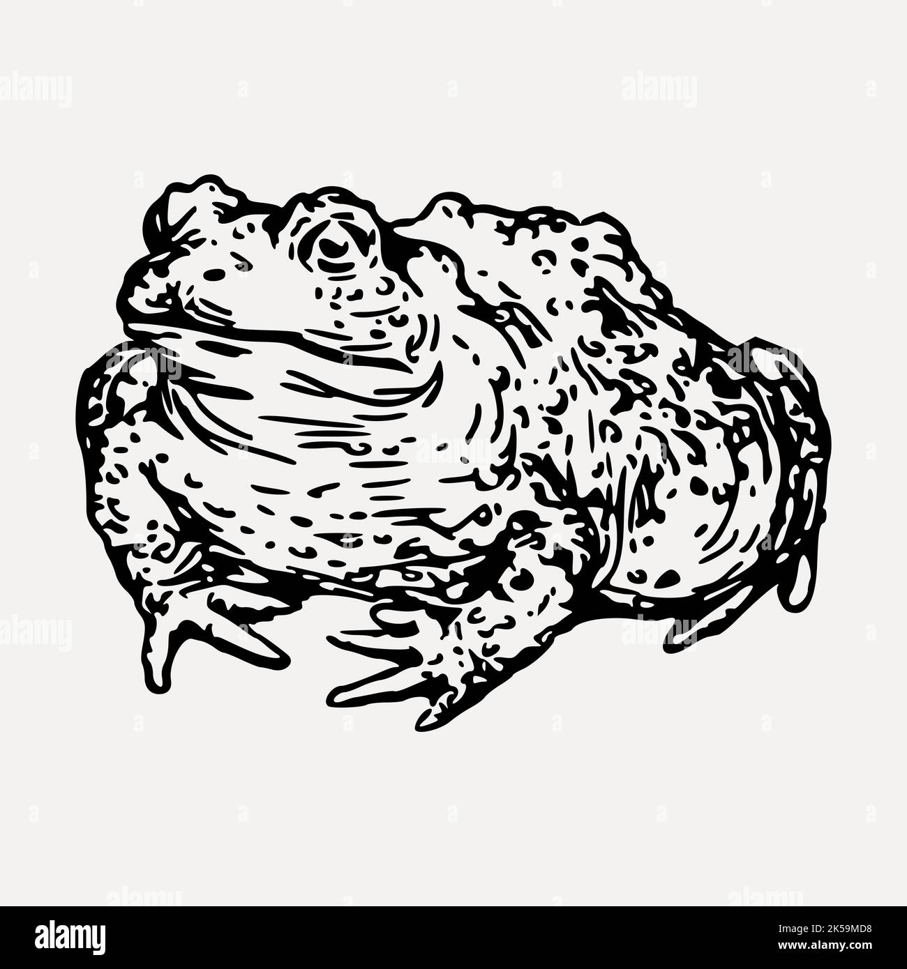 Warty toad clipart hi-res stock photography and images - Alamy