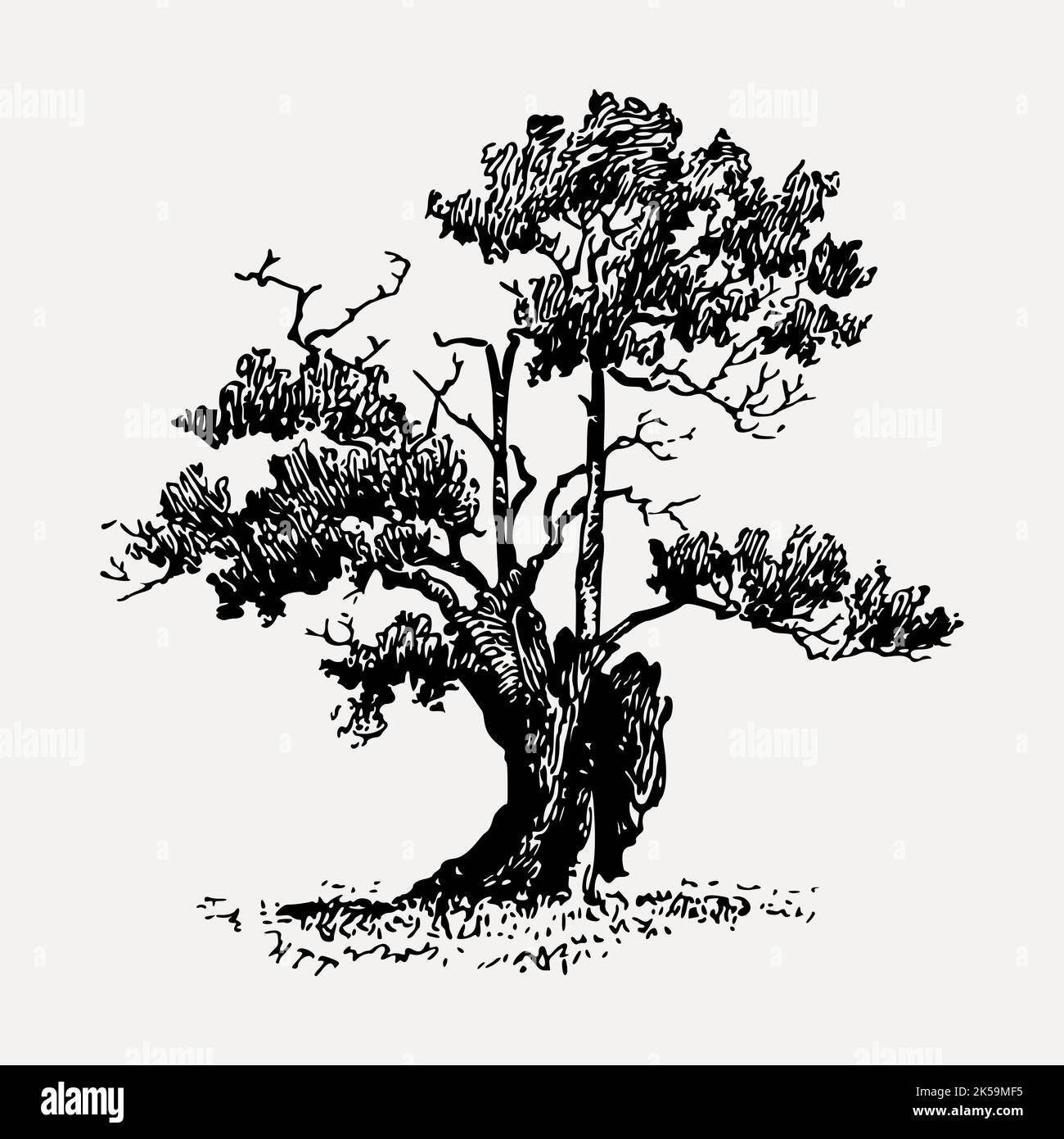 Sparse tree Stock Vector Images - Alamy