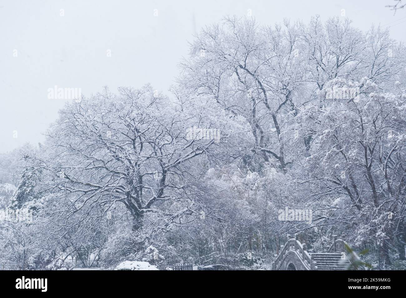 Winter snow scene in Moshan Scenic Area, East Lake, Wuhan, Hubei Stock ...