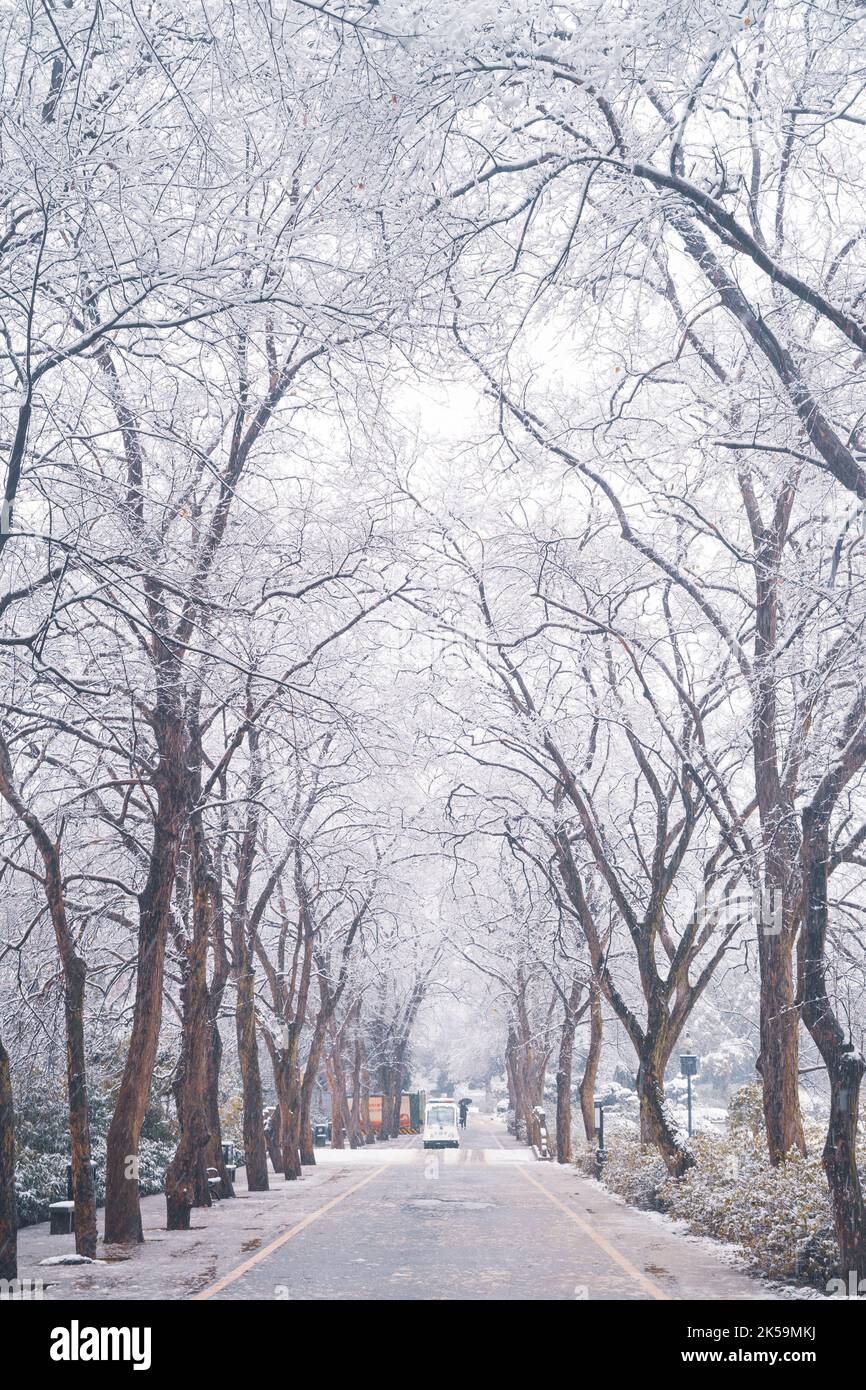 Winter snow scene in Moshan Scenic Area, East Lake, Wuhan, Hubei Stock ...