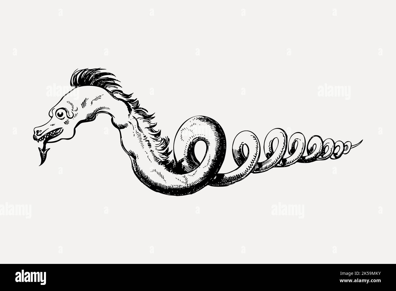 Snake dragon drawing, vintage myth creature illustration vector Stock ...