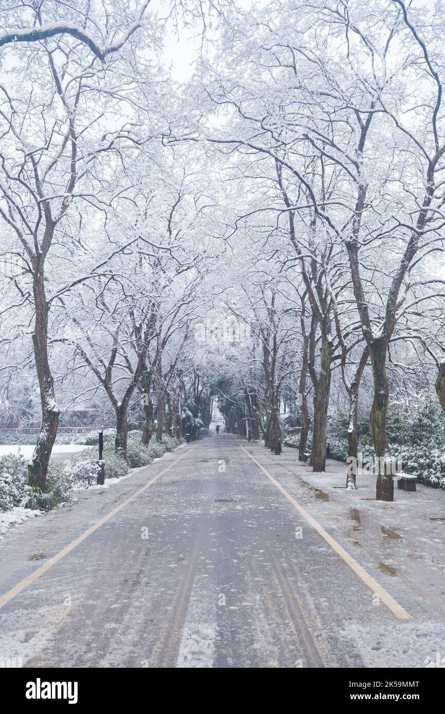Winter snow scene in Moshan Scenic Area, East Lake, Wuhan, Hubei Stock Photo - Alamy