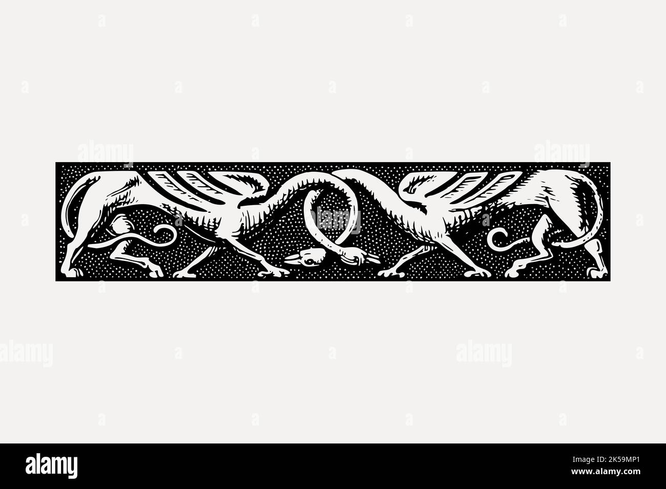 Animal ornate divider drawing hi-res stock photography and images - Alamy