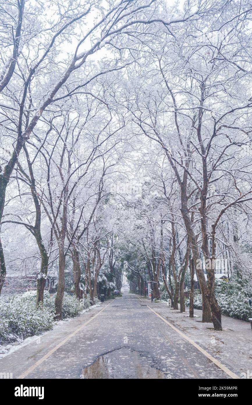 Winter snow scene in Moshan Scenic Area, East Lake, Wuhan, Hubei Stock ...