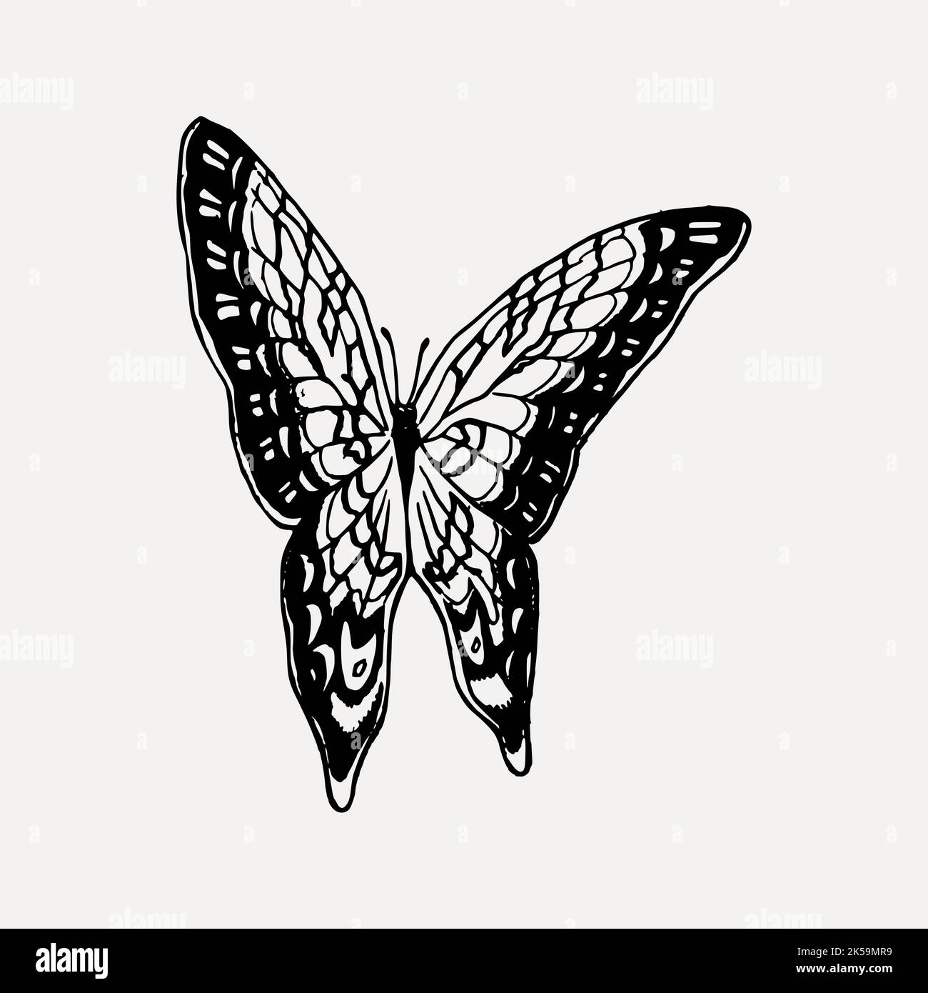Butterfly Clipart Drawing Illustration Vector Stock Vector Image And Art