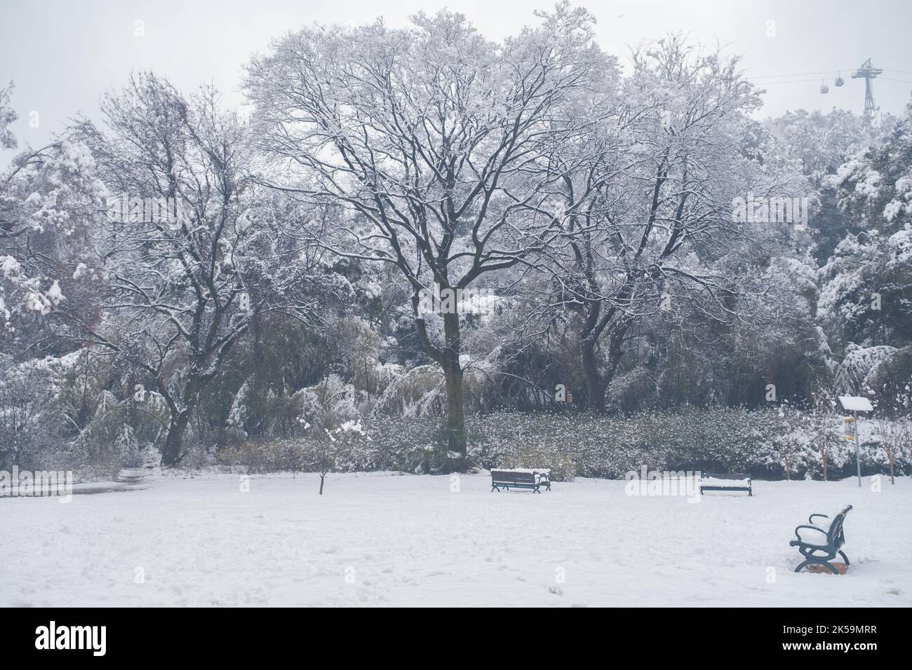 Winter snow scene in Moshan Scenic Area, East Lake, Wuhan, Hubei Stock ...
