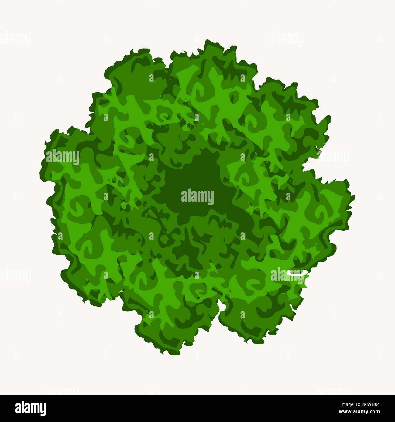 Tree top view clipart, botanical illustration vector Stock Vector Image ...