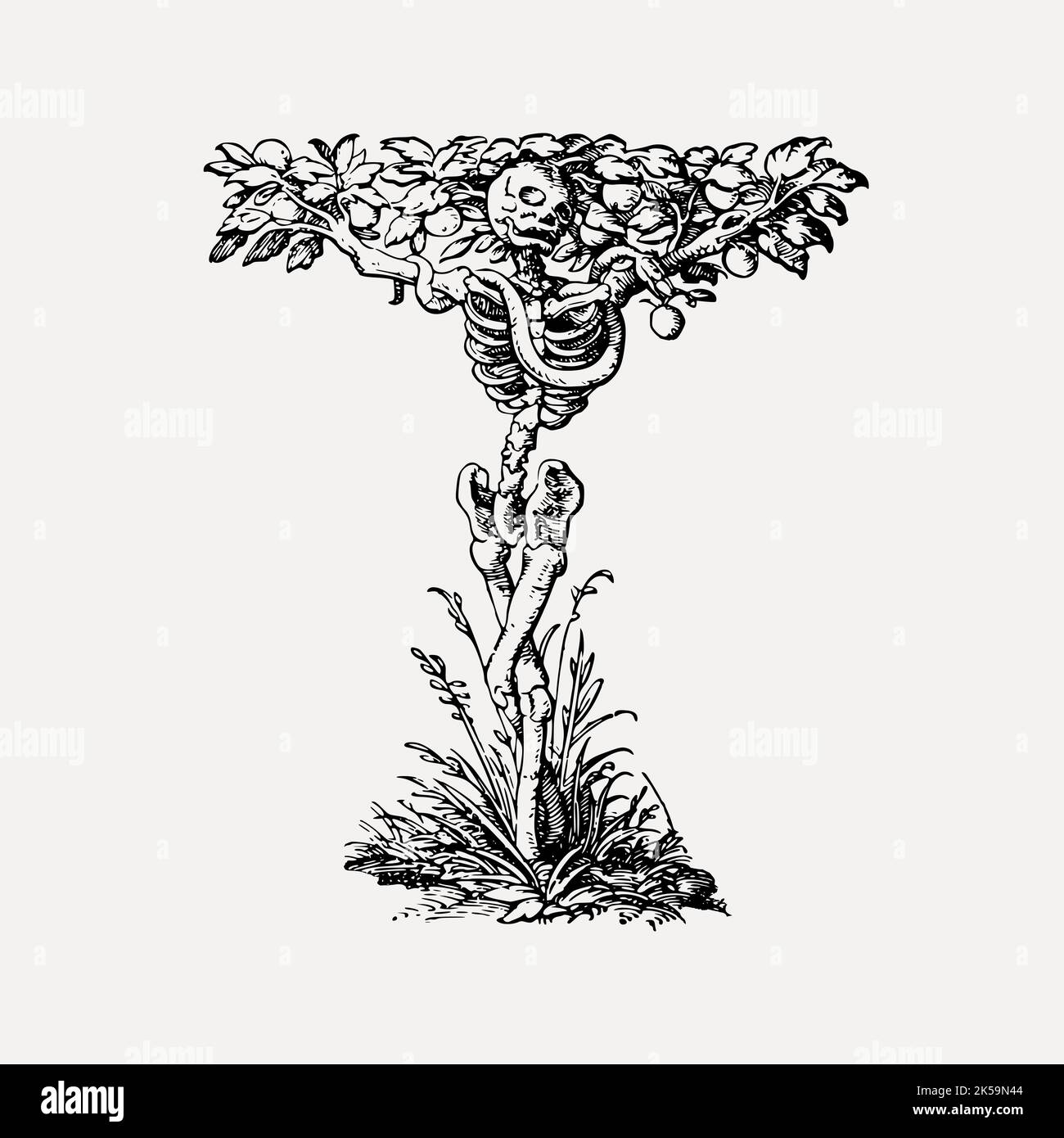 Skeleton tree clipart Stock Vector Images - Alamy