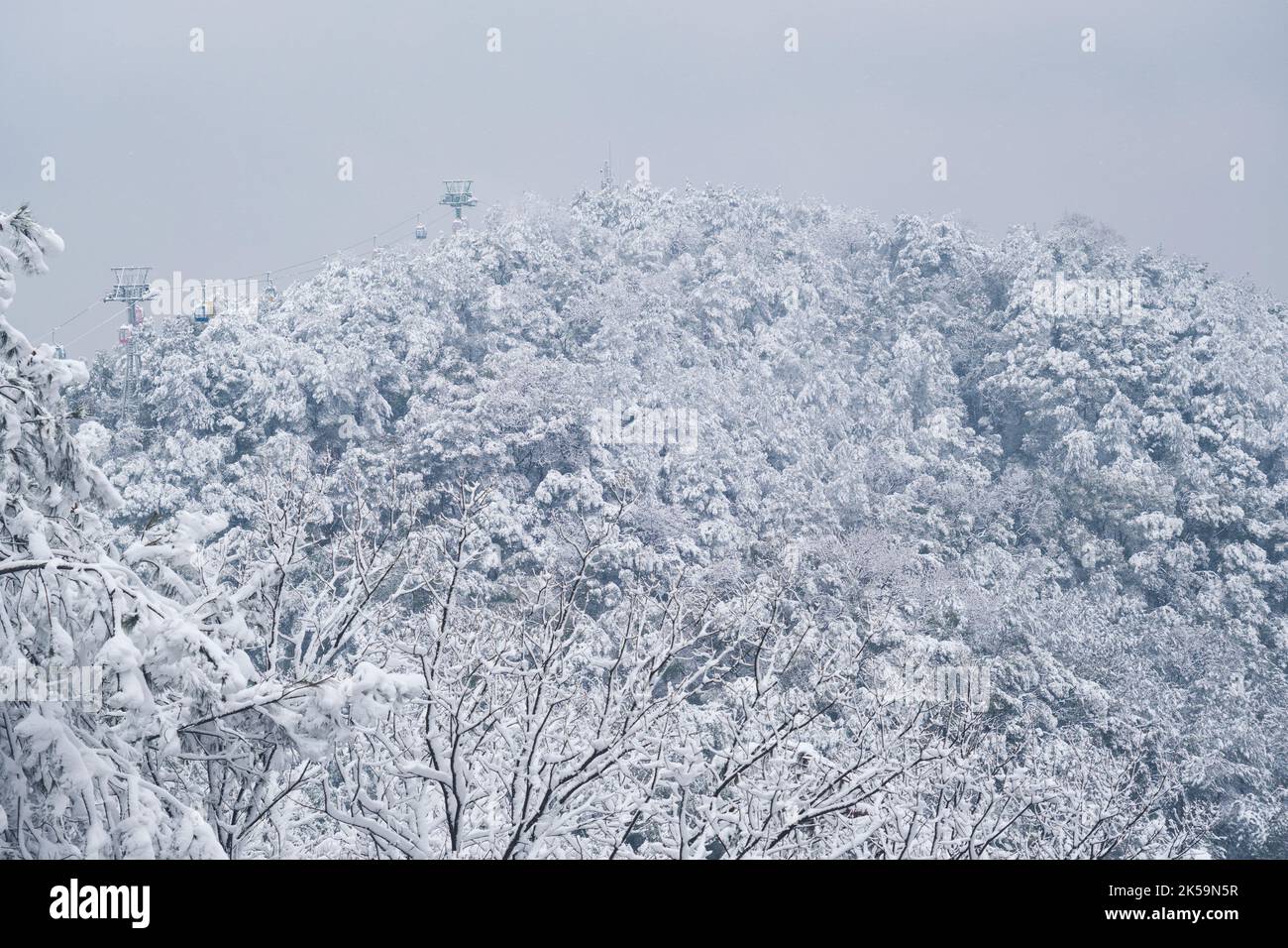Winter snow scene in Moshan Scenic Area, East Lake, Wuhan, Hubei Stock ...