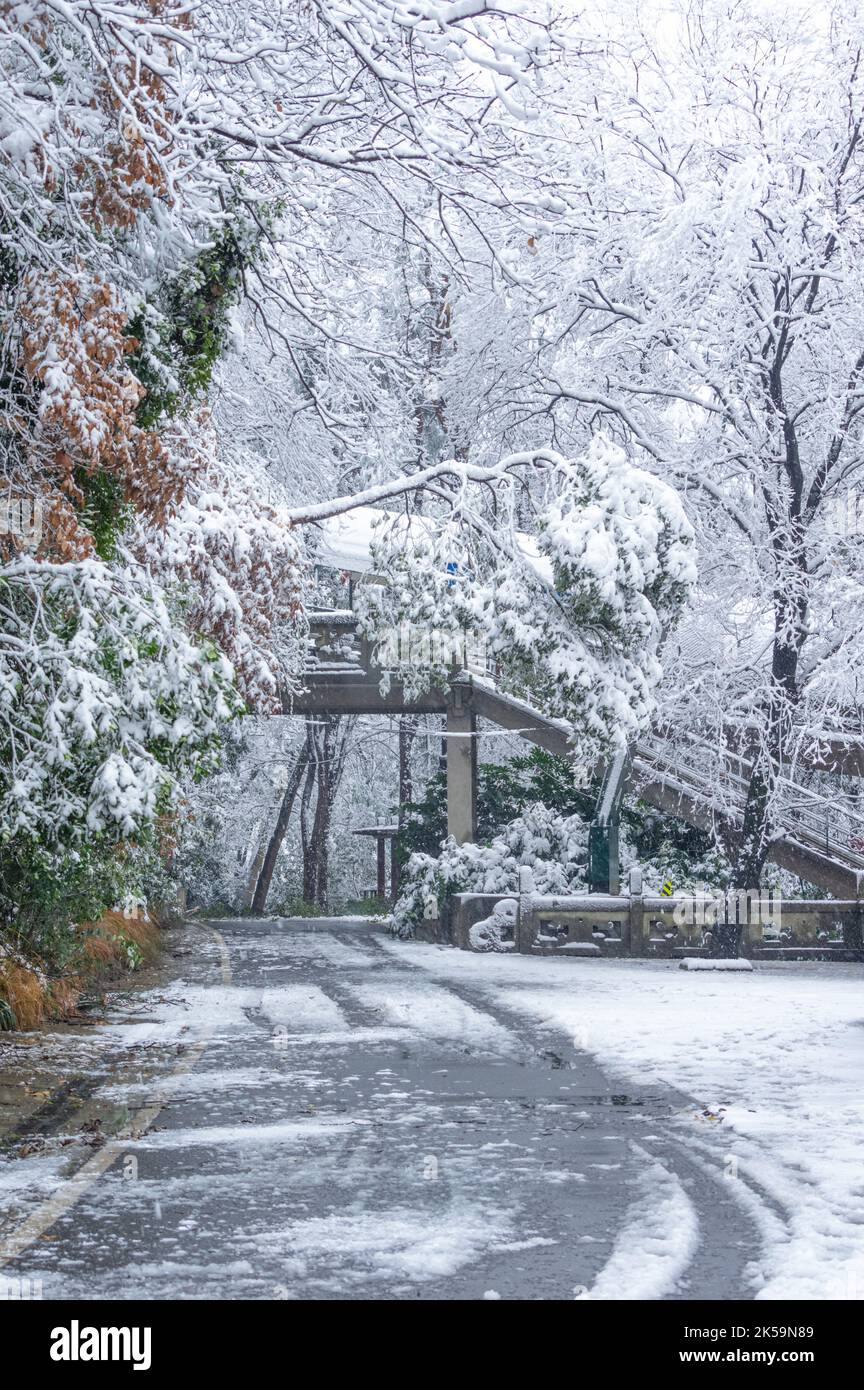 Winter snow scene in Moshan Scenic Area, East Lake, Wuhan, Hubei Stock ...