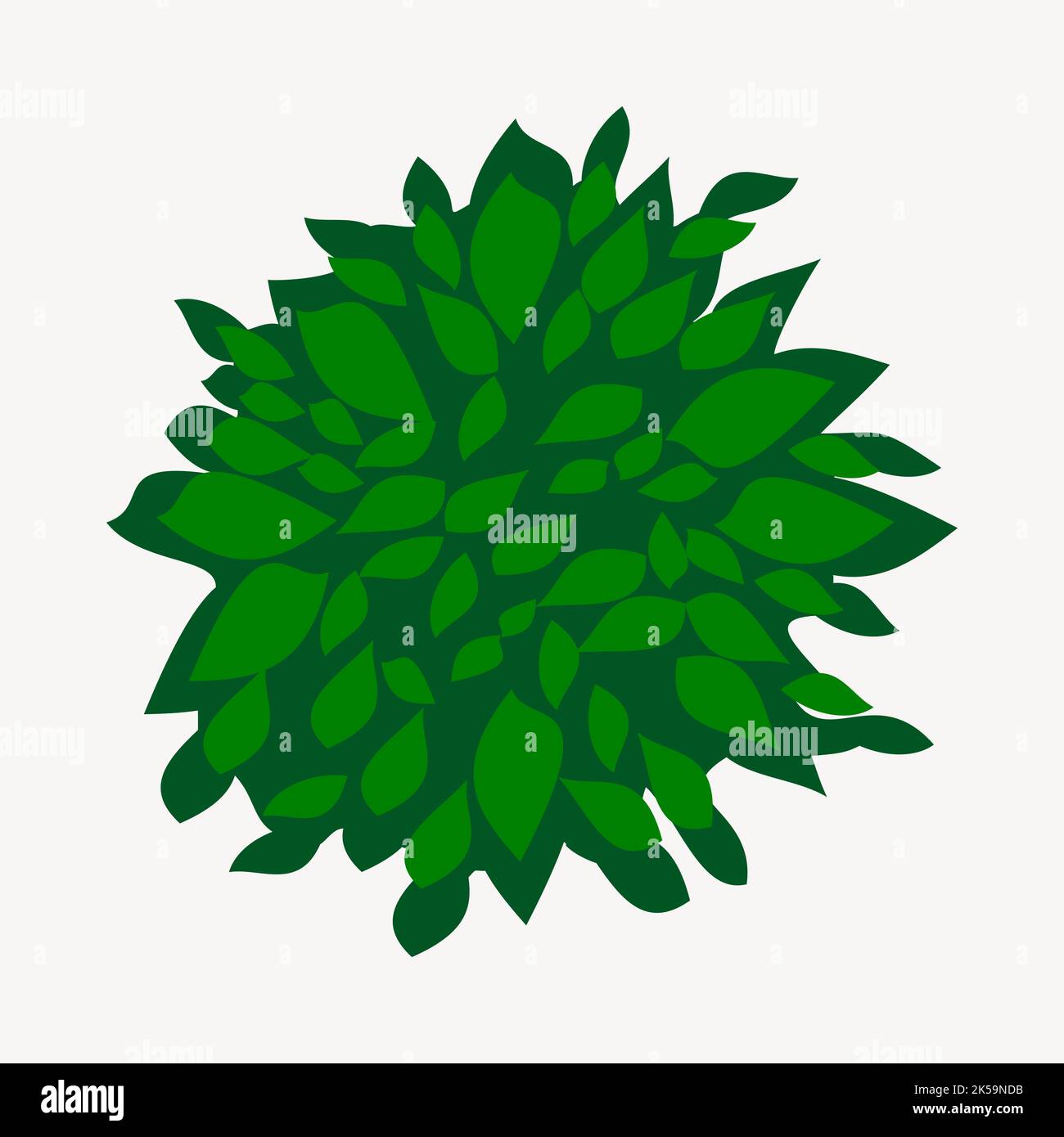 Bush top view clipart, botanical illustration vector Stock Vector Image ...