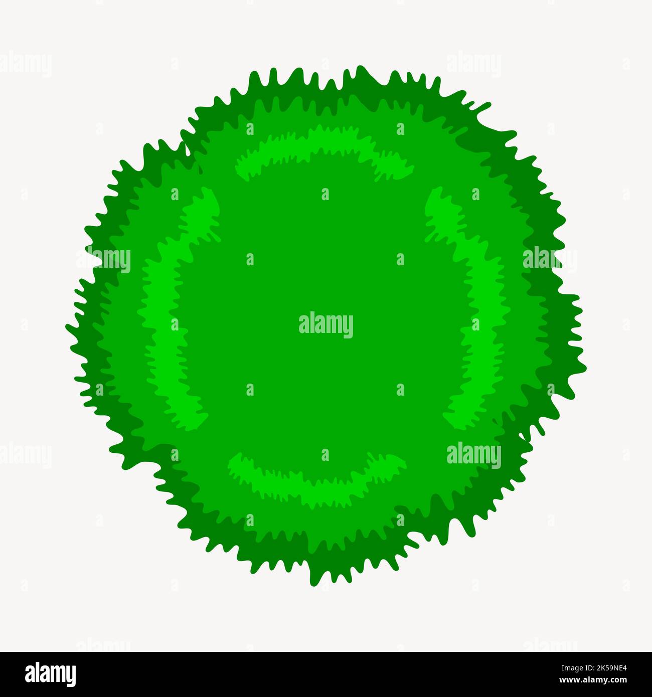 Tree top view clipart, botanical illustration vector Stock Vector Image ...