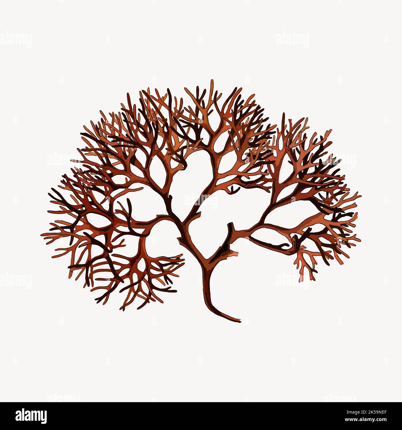 Moss clipart illustration vector Stock Vector Image & Art - Alamy