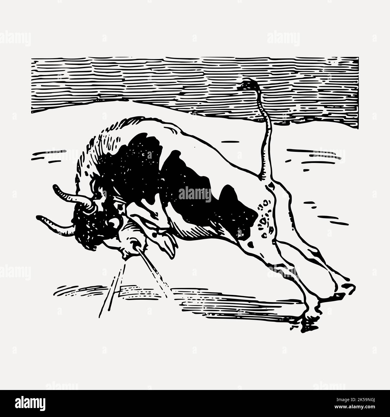 Bull drawing hi-res stock photography and images - Alamy