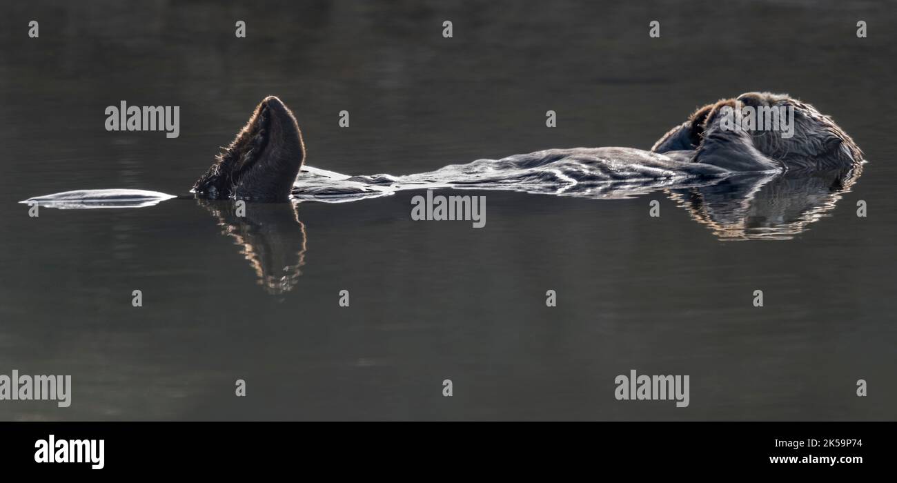 Deep campus hi-res stock photography and images - Alamy