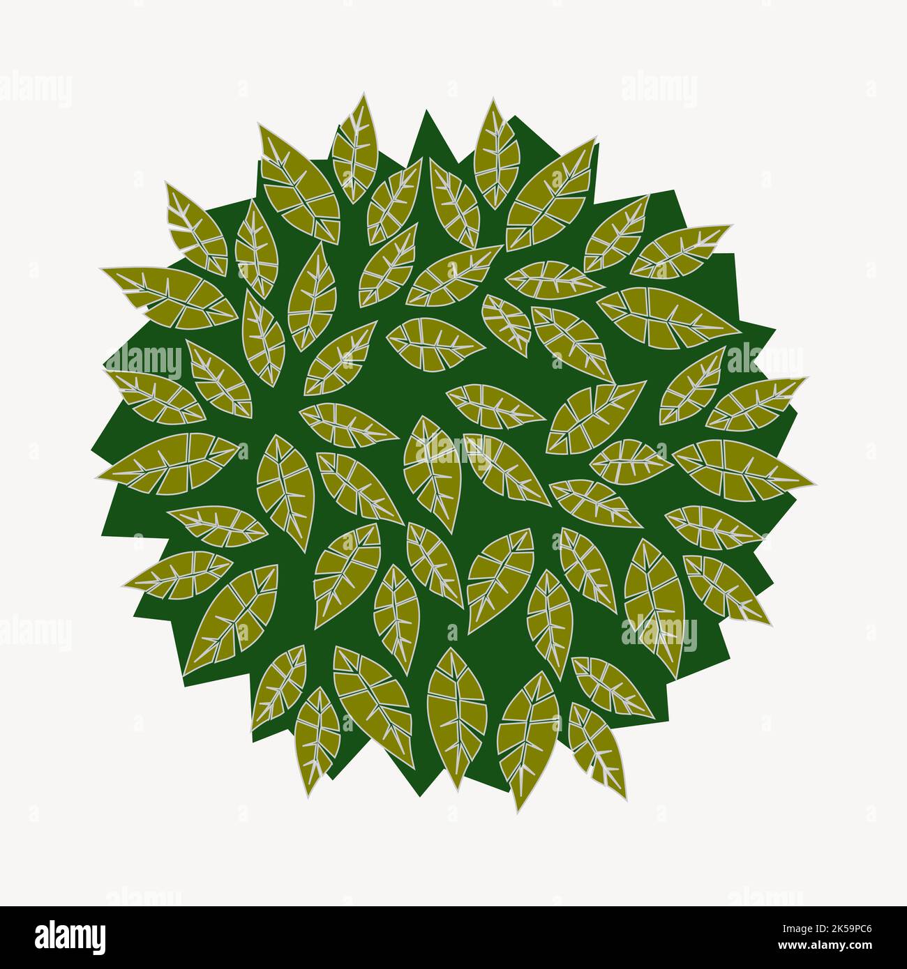 Bush top view clipart, botanical illustration vector Stock Vector Image ...