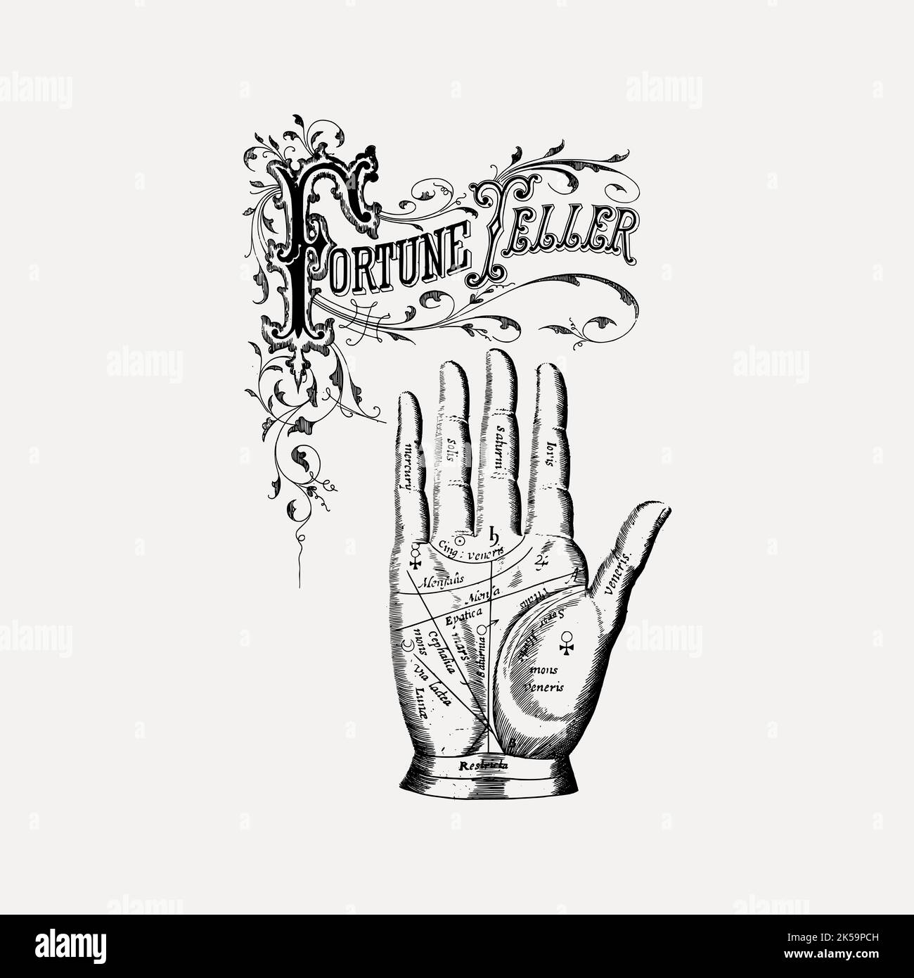 Fortune teller clipart, drawing illustration vector Stock Vector Image ...