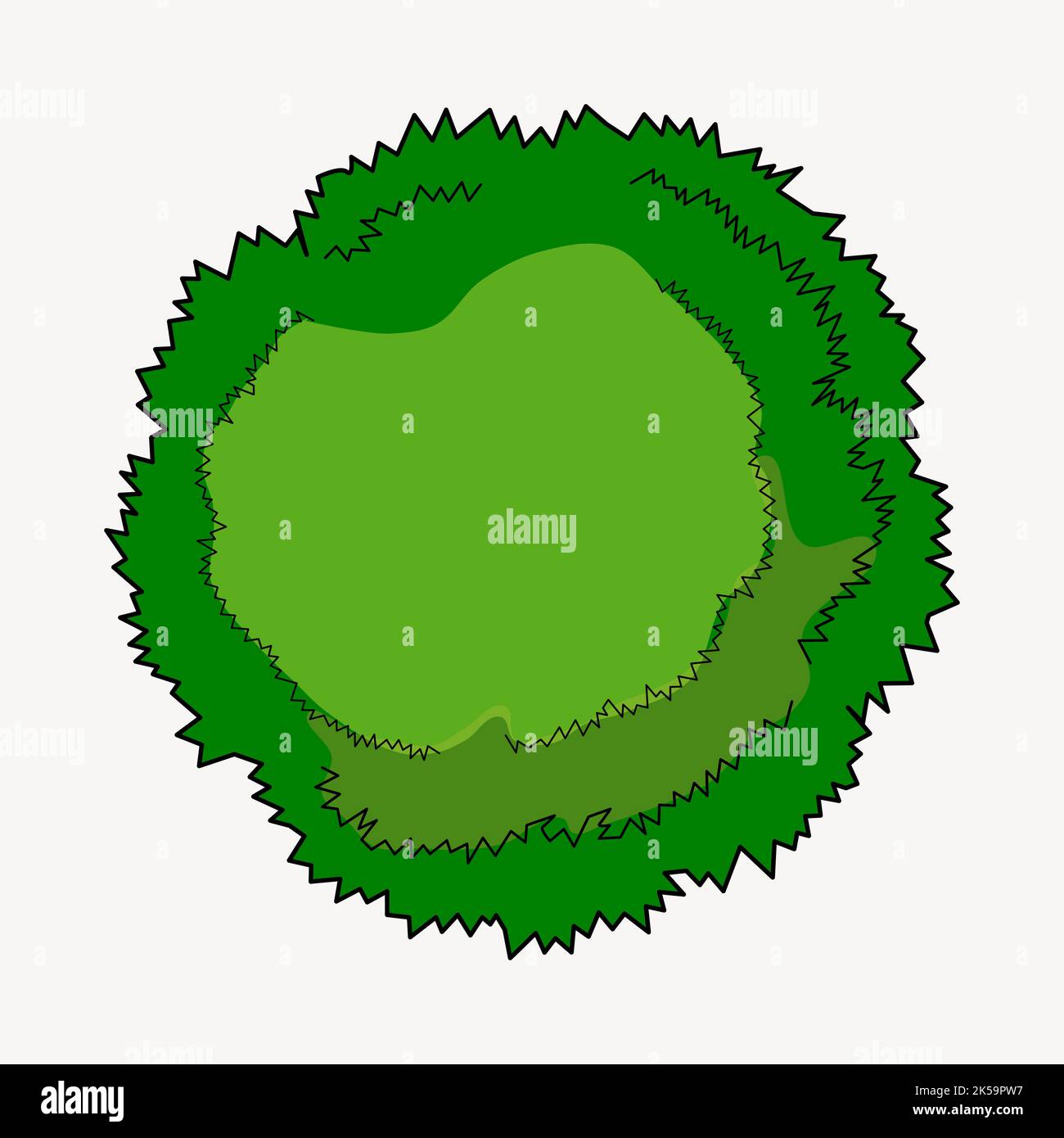 Tree top view clipart, botanical illustration vector Stock Vector Image ...
