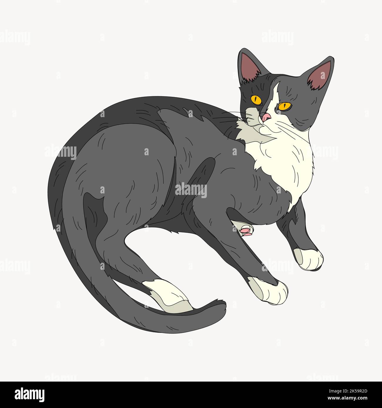 Cat collage element vector Stock Vector Image & Art - Alamy