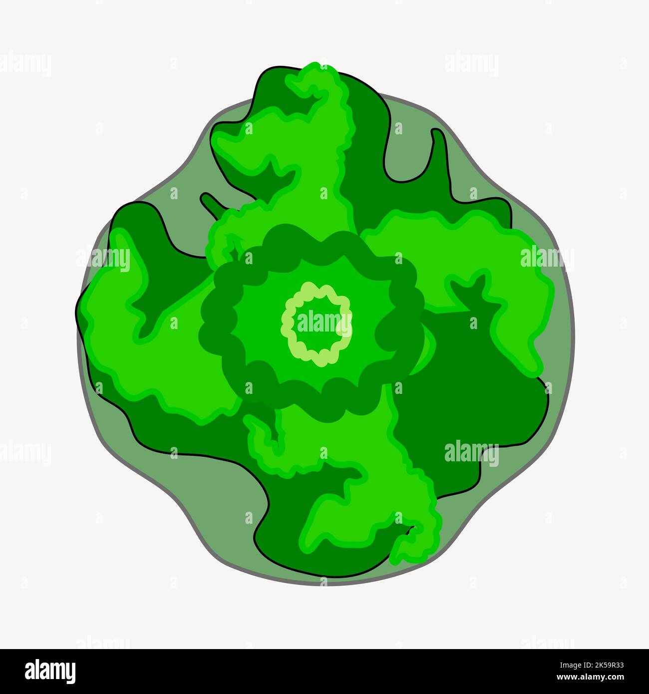 Tree top view clipart, botanical illustration vector Stock Vector Image ...