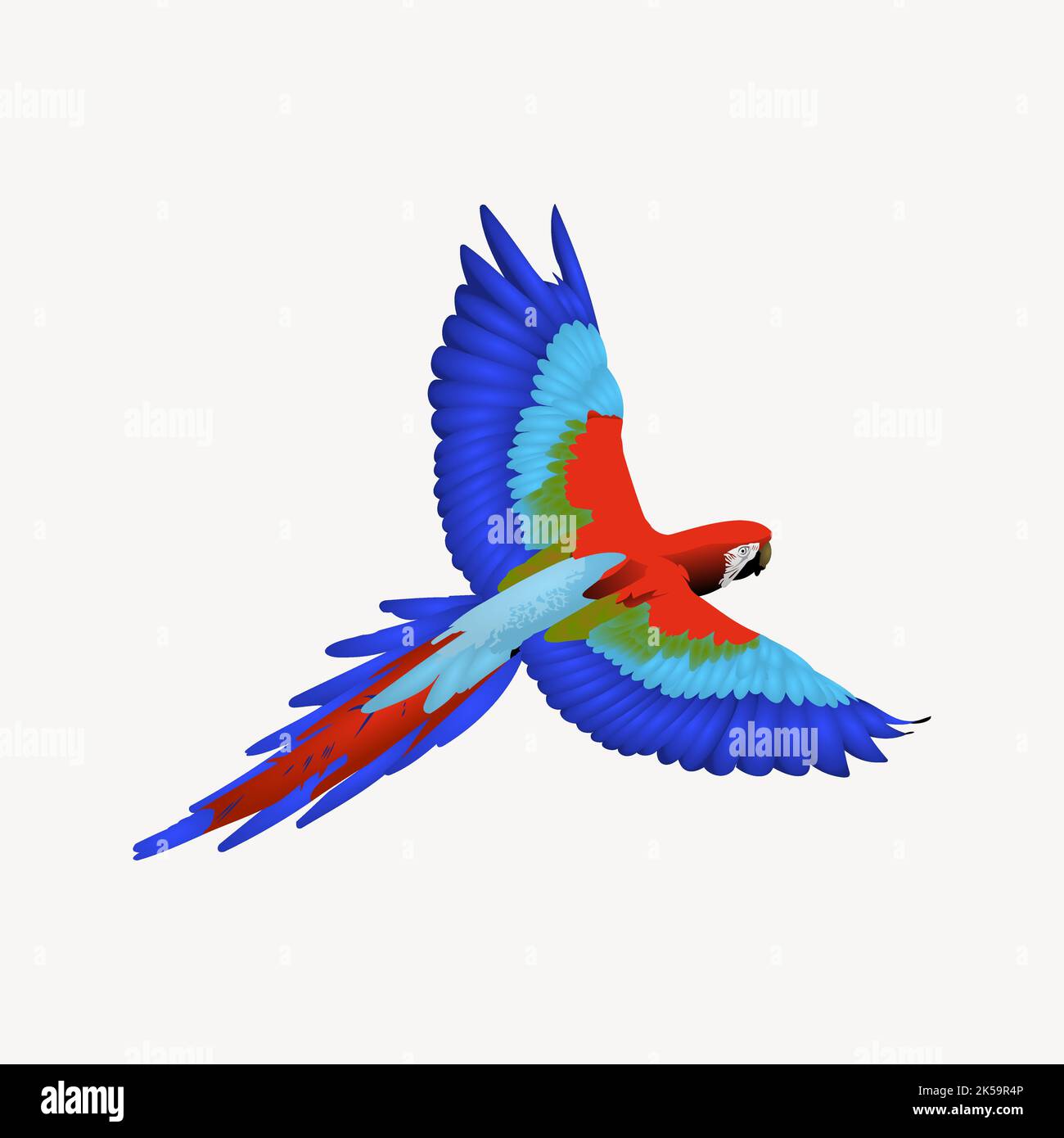 Macaw bird collage element vector Stock Vector Image & Art - Alamy