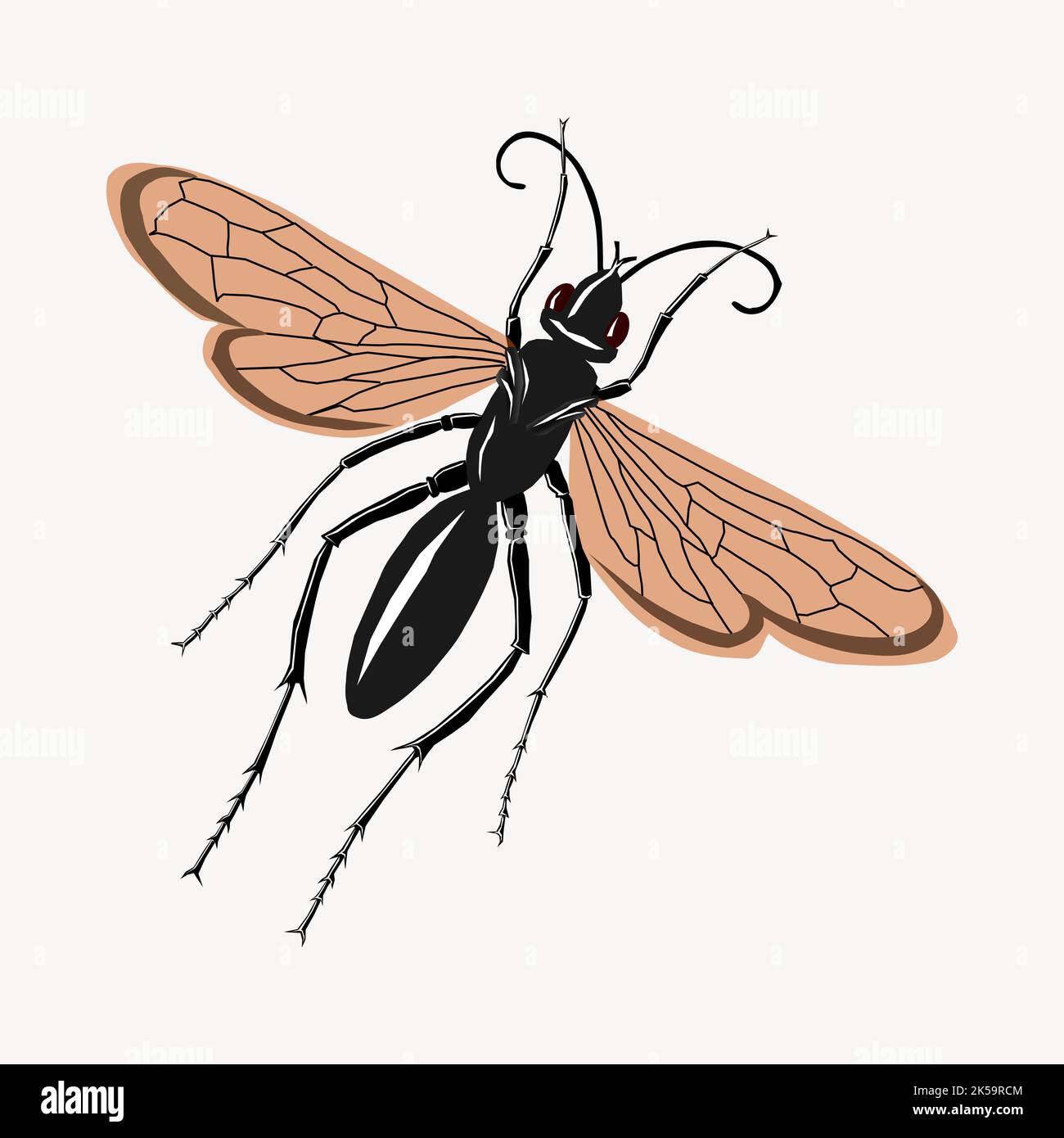 Black wasp clipart hi-res stock photography and images - Alamy