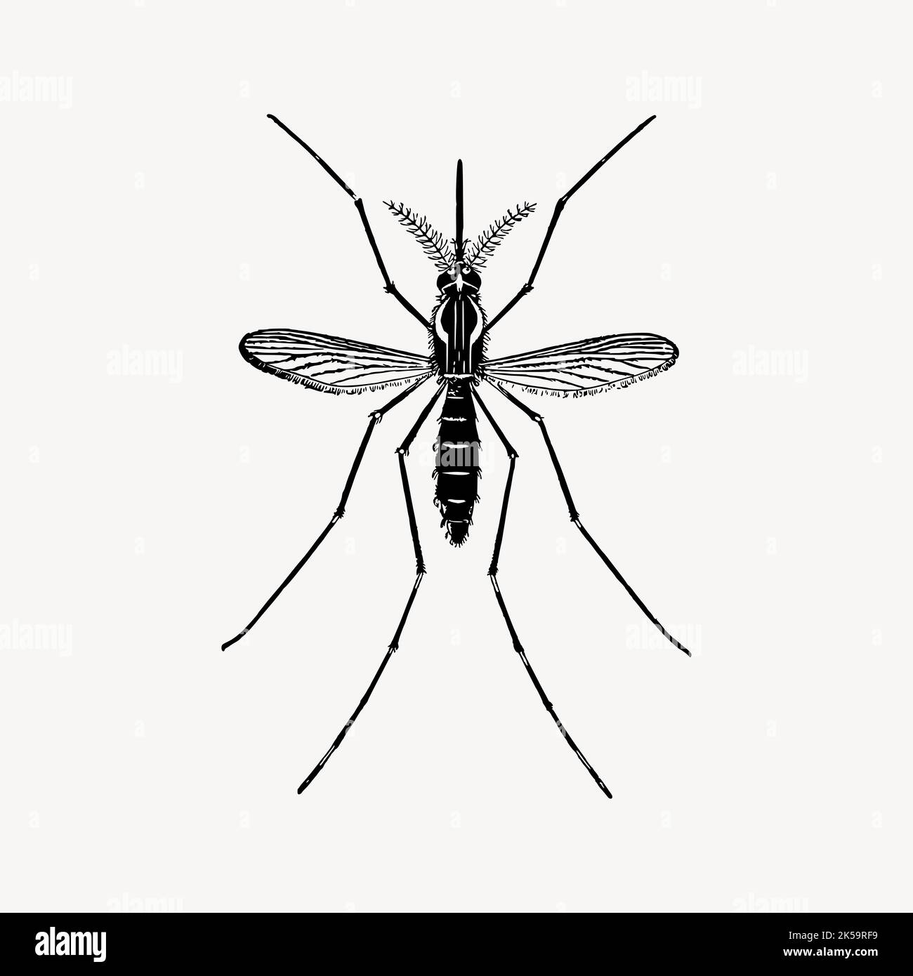 Mosquito collage element vector Stock Vector Image & Art - Alamy