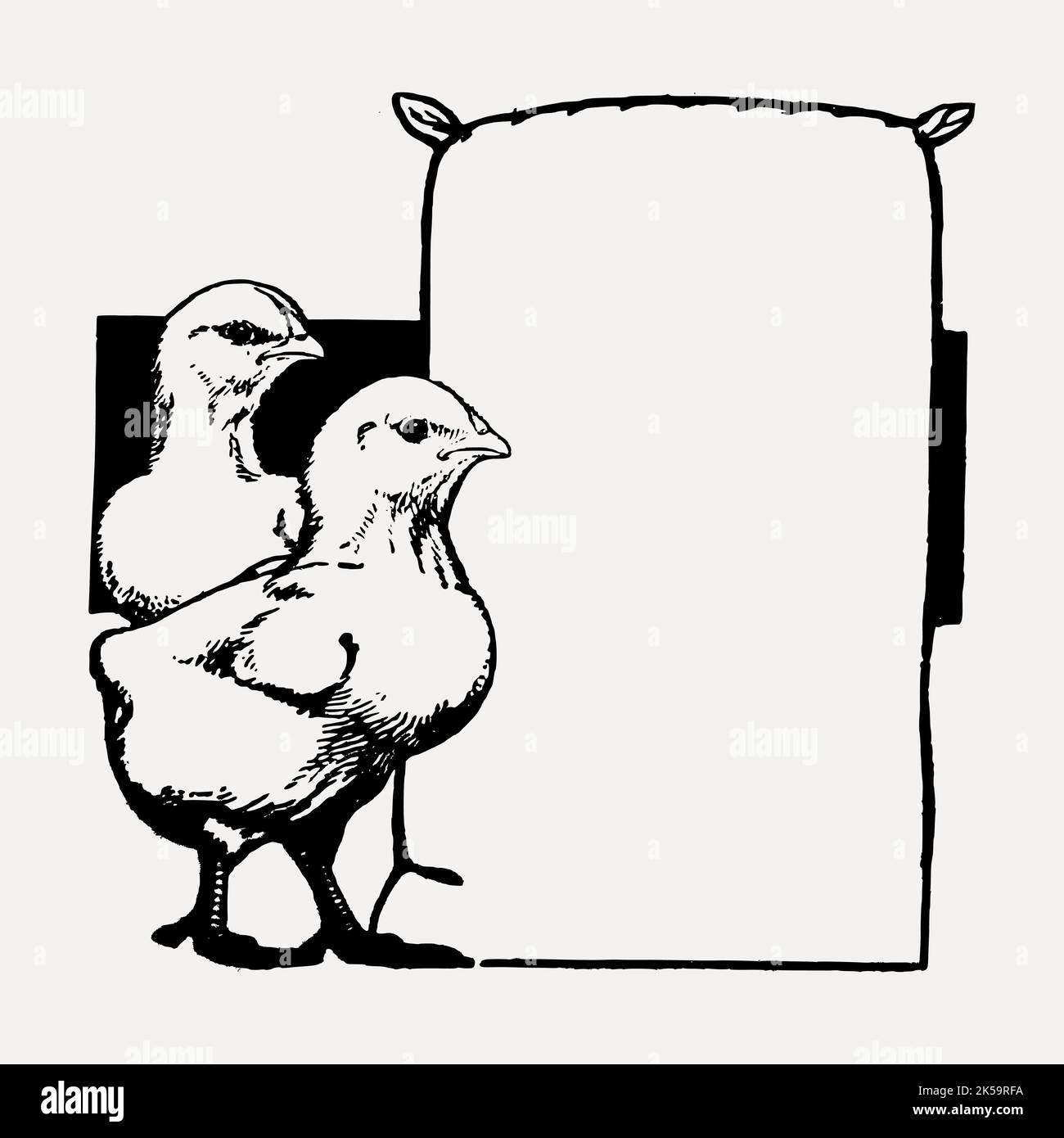 Chicken frame clipart hi-res stock photography and images - Alamy