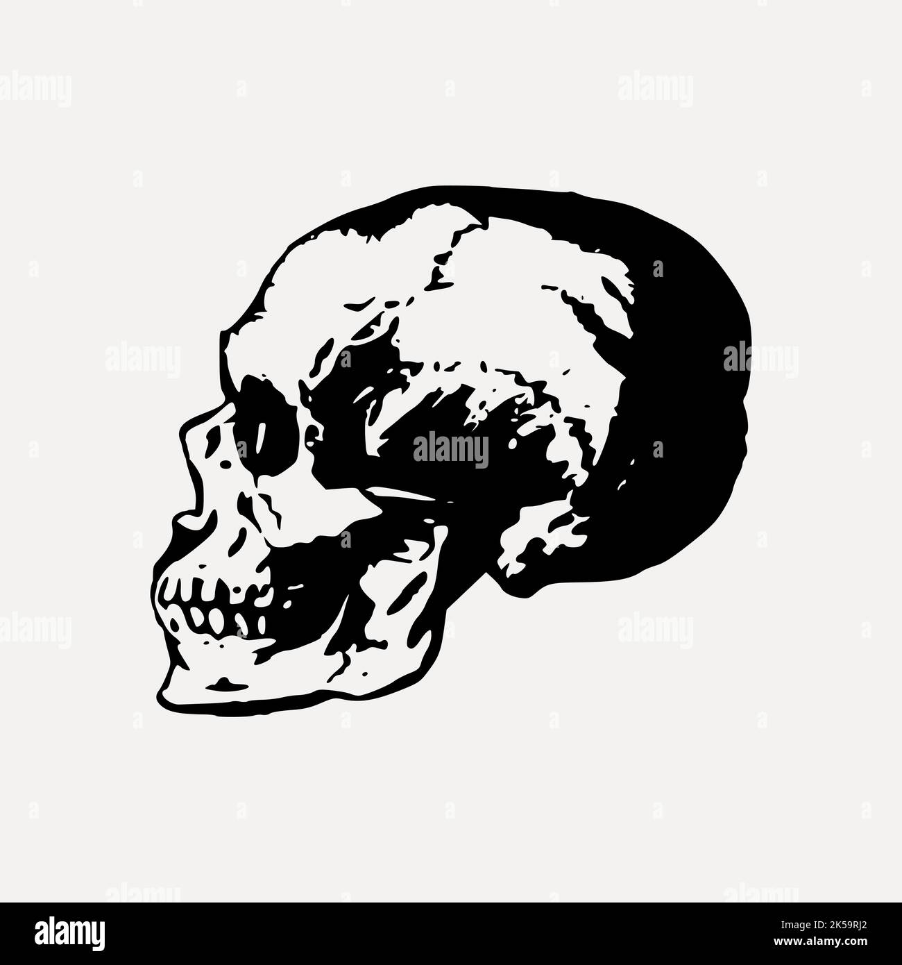 Side skull clipart hi-res stock photography and images - Alamy