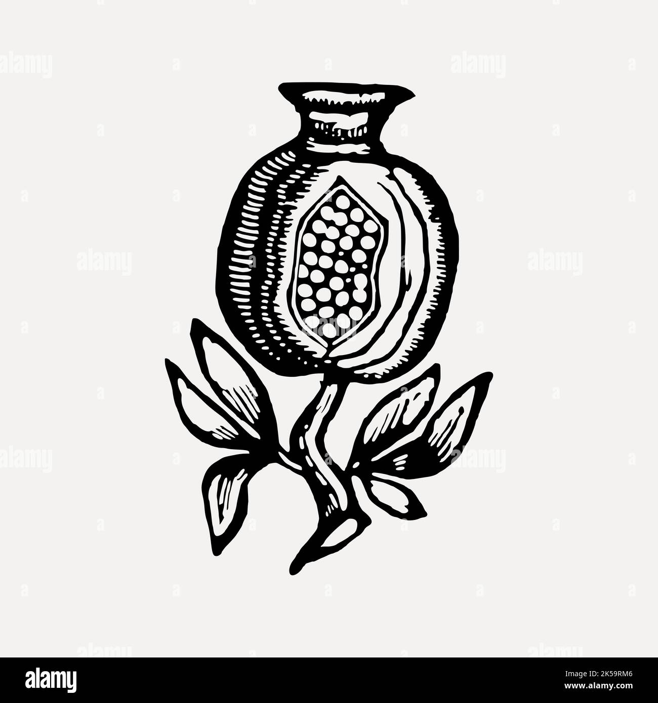 Pomegranate clipart, drawing illustration vector Stock Vector Image ...