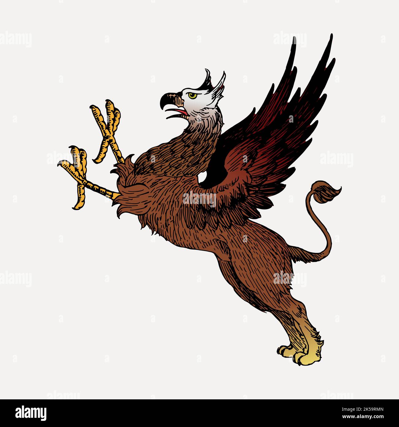 Griffin clipart, vintage hand drawn vector Stock Vector Image & Art - Alamy