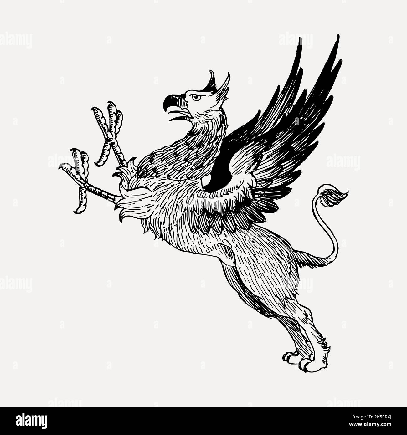 Griffin clipart, vintage hand drawn vector Stock Vector Image & Art - Alamy