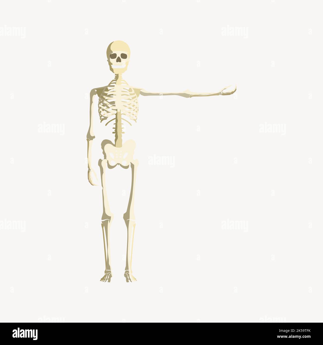 Skeleton collage element vector Stock Vector Image & Art - Alamy