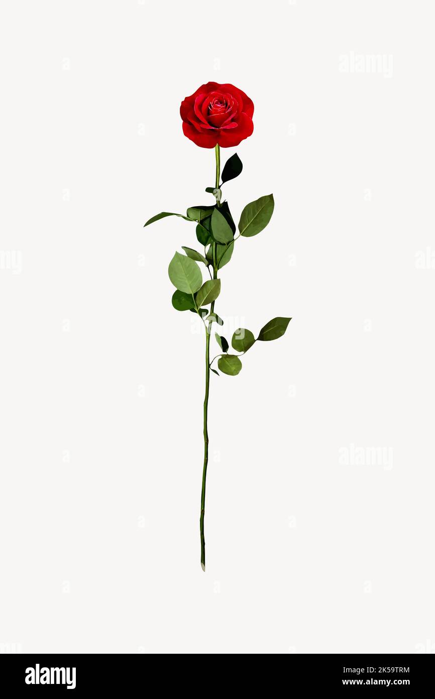 Red rose collage element vector Stock Vector Image & Art - Alamy