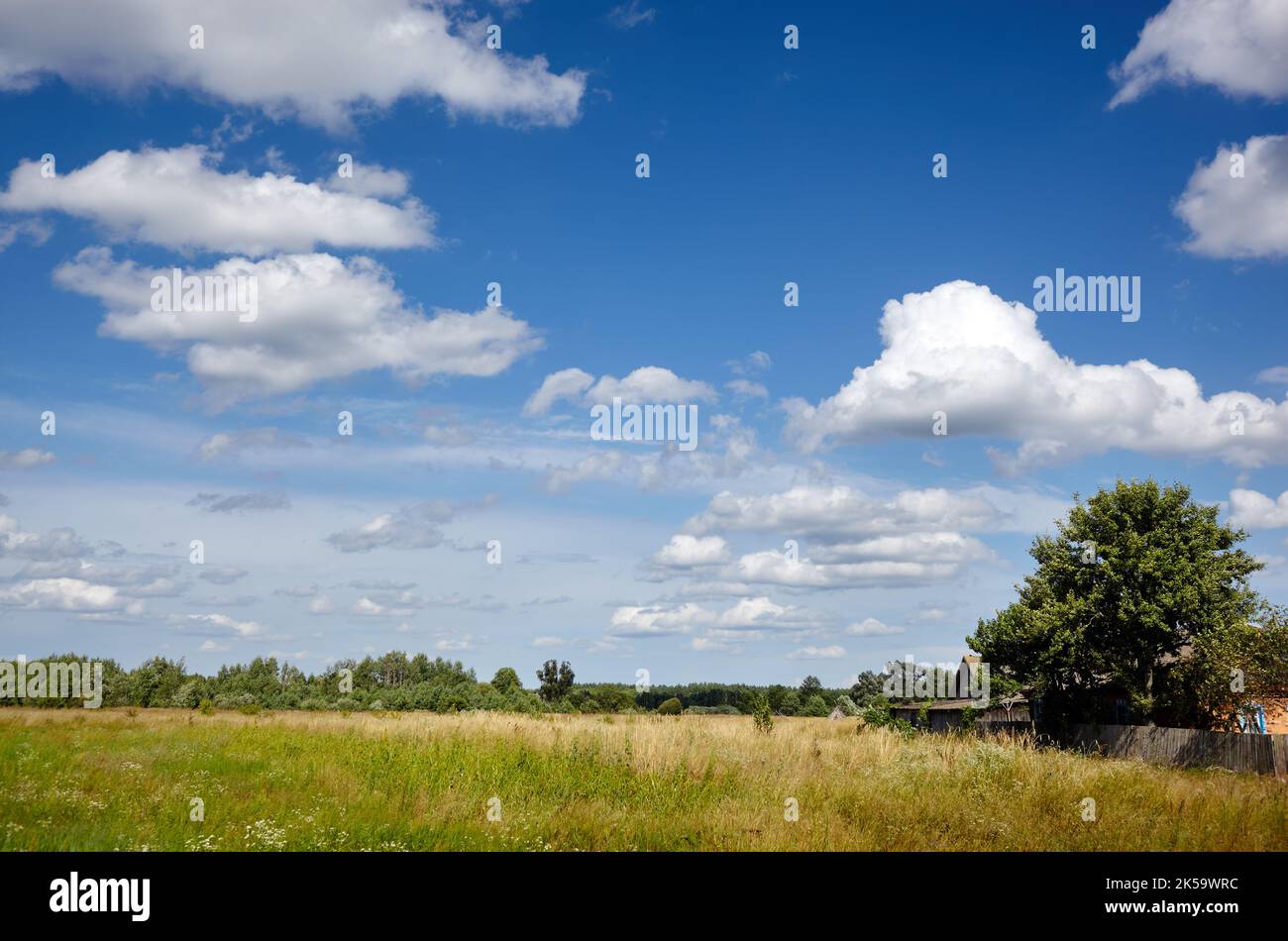 Beautiful summer rural landscape with old barn. Meadow with trees and ...