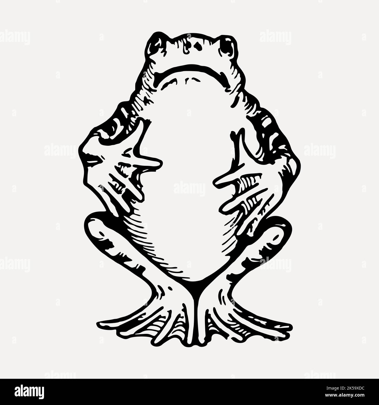 Frog animal clipart, vintage hand drawn vector Stock Vector Image & Art ...