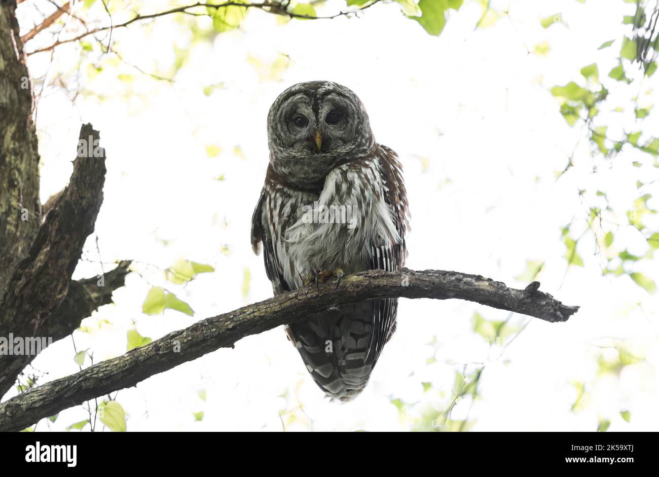 Every step hi-res stock photography and images - Alamy