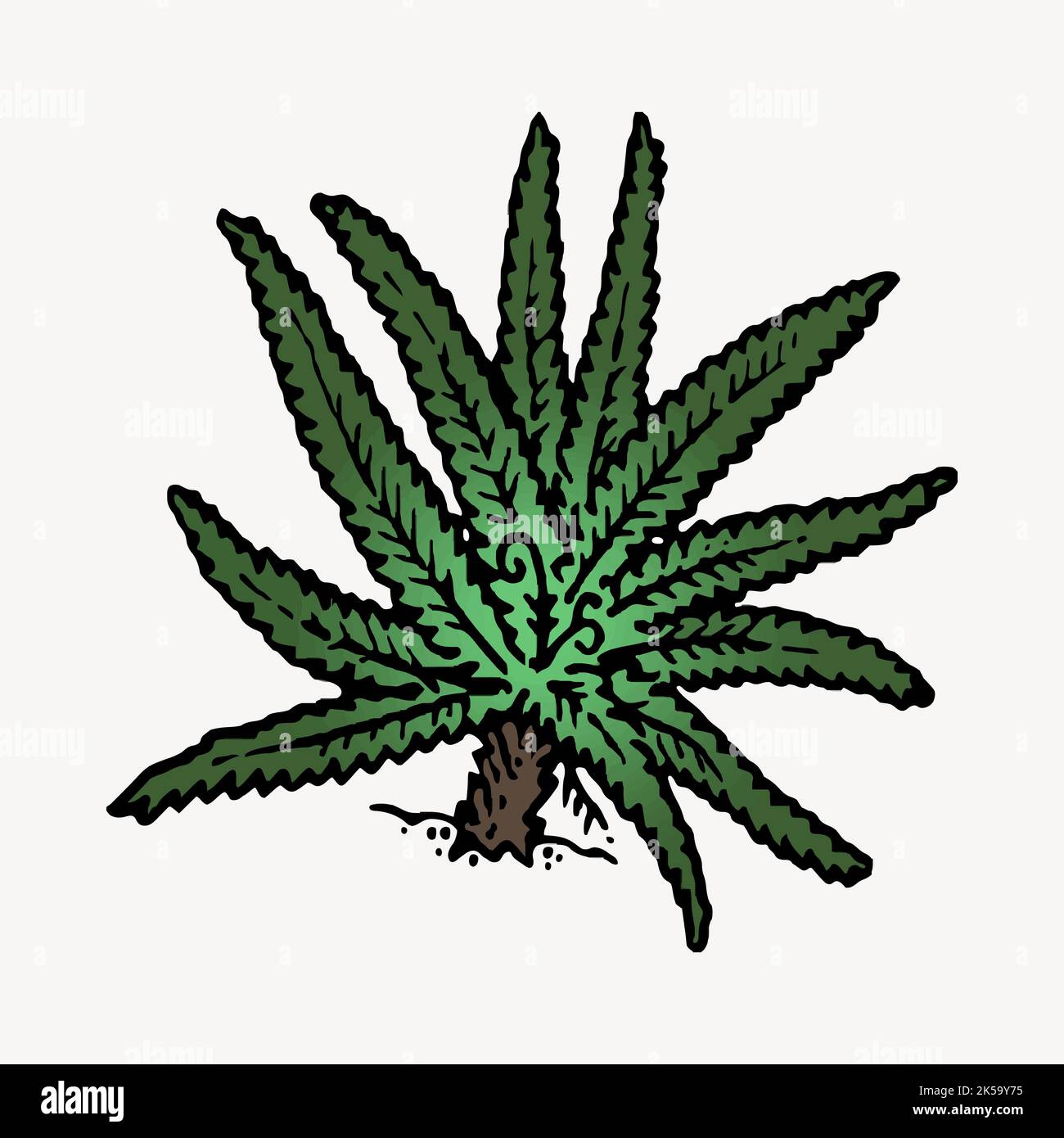 Fern clipart, vintage hand drawn vector Stock Vector Image & Art - Alamy