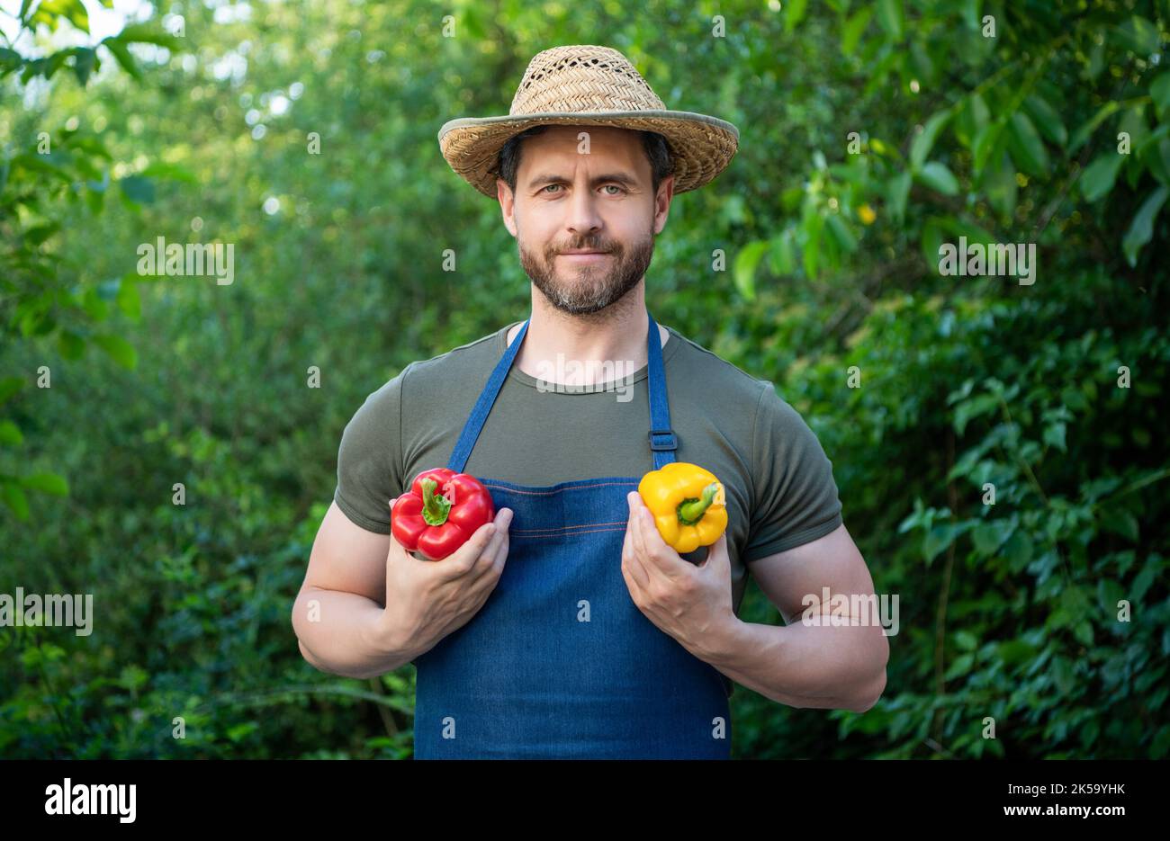 man farm worker in straw hat with sweet pepper Stock Photo - Alamy