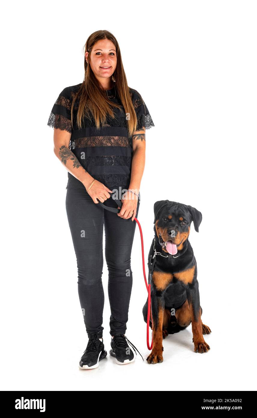 puppy rottweiler and woman in front of white background Stock Photo - Alamy