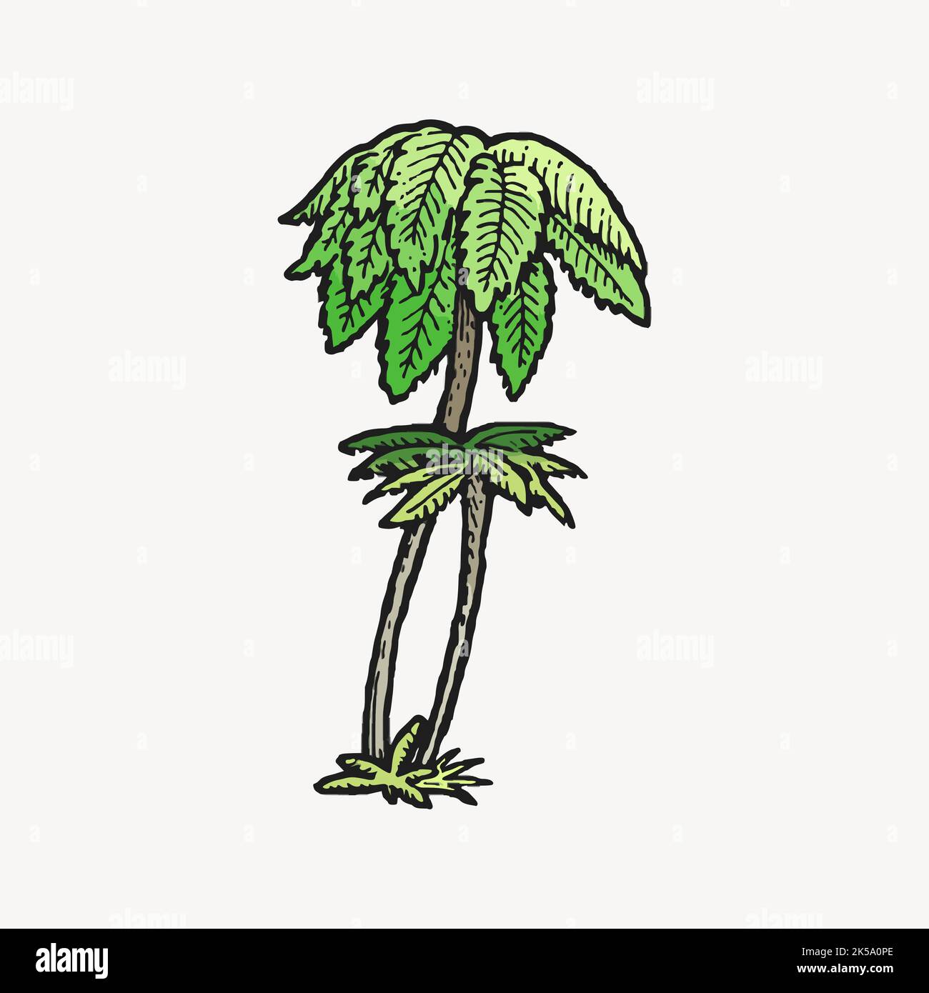 Tree fern clipart, vintage hand drawn vector Stock Vector Image & Art ...