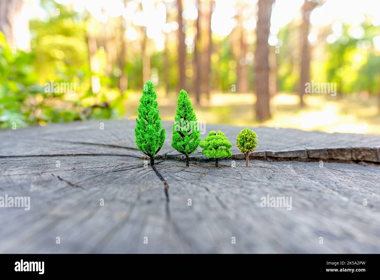 Toy forest grows on a tree stump in the woods Stock Photo - Alamy