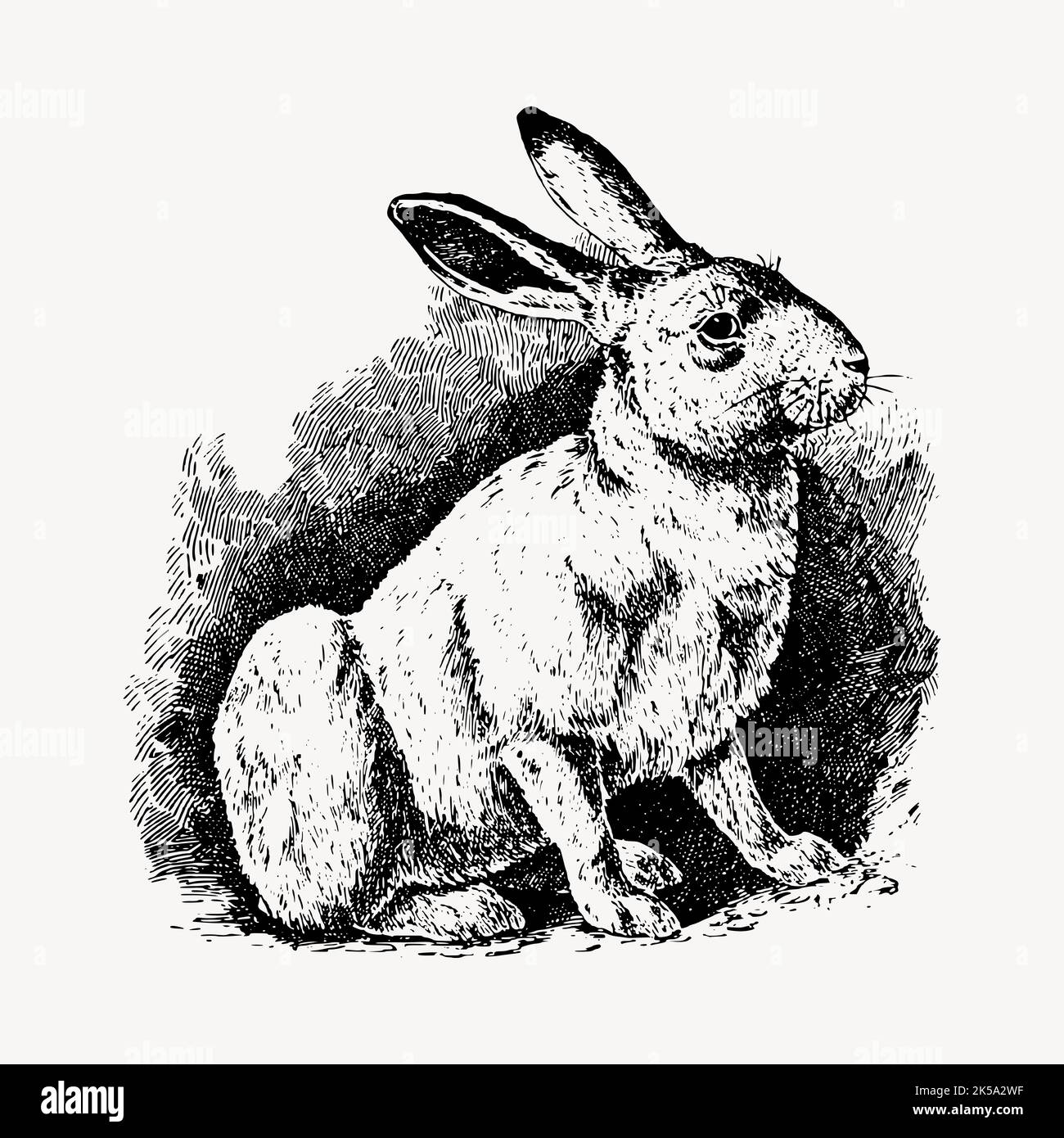 Rabbit clipart, vintage hand drawn vector Stock Vector Image & Art - Alamy