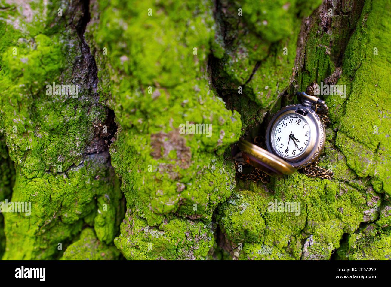 Old fashioned bronze toned pocket watch placed between the layers of ...