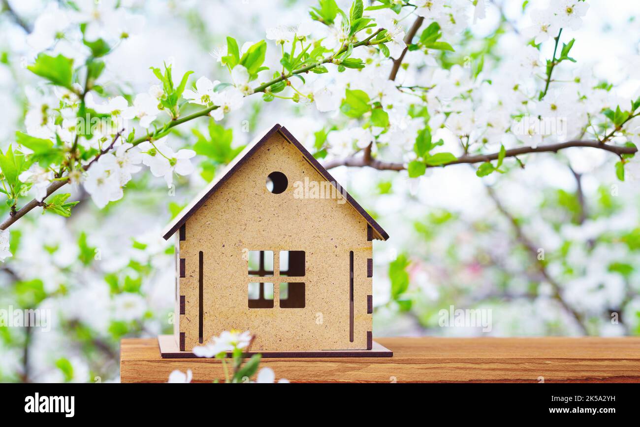 Small wooden house model under a blooming tree branch Stock Photo - Alamy