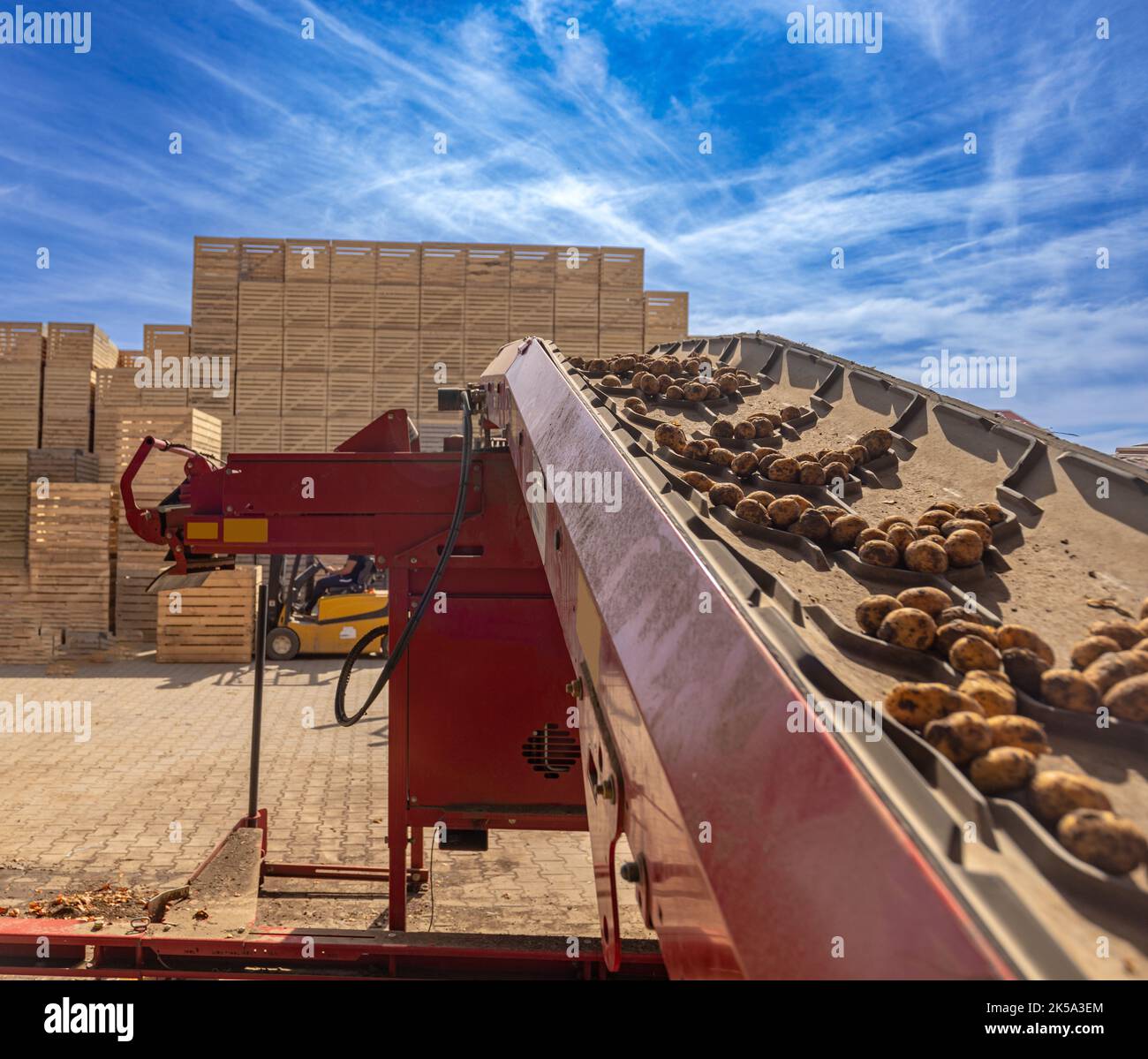 Potato harvest conveyor belt hi-res stock photography and images - Alamy