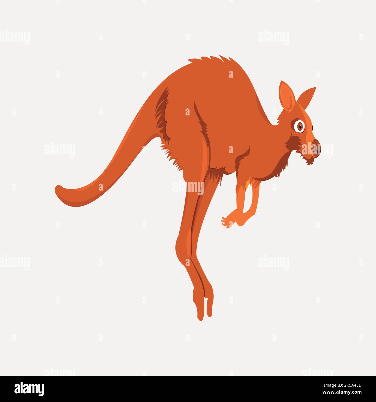 Kangaroo clipart, wild animal illustration vector Stock Vector Image & Art - Alamy